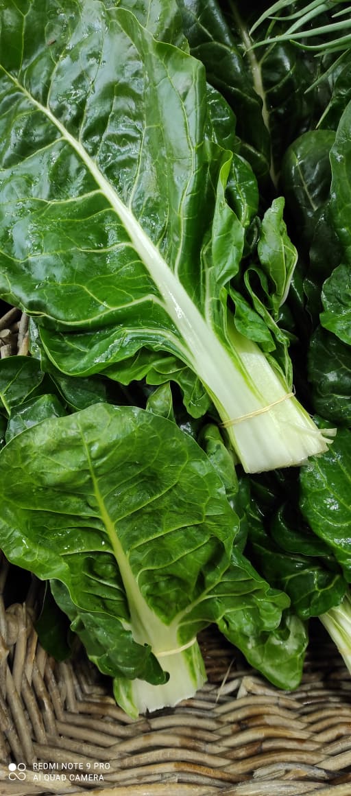 Προϊόν Σεσκουλα ματσακι | Συνεταιρισμός Κουκούλι