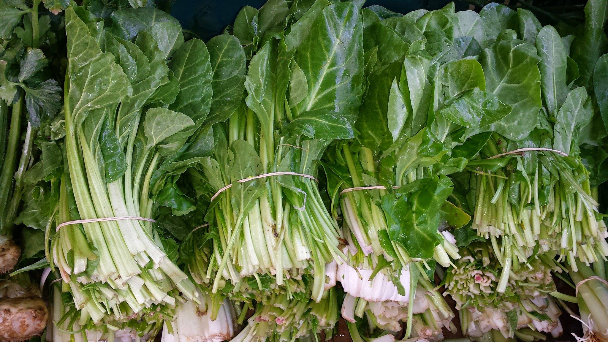 Προϊόν Σέσκουλα | Συνεταιρισμός Κουκούλι